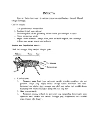 Insecta | DOCX