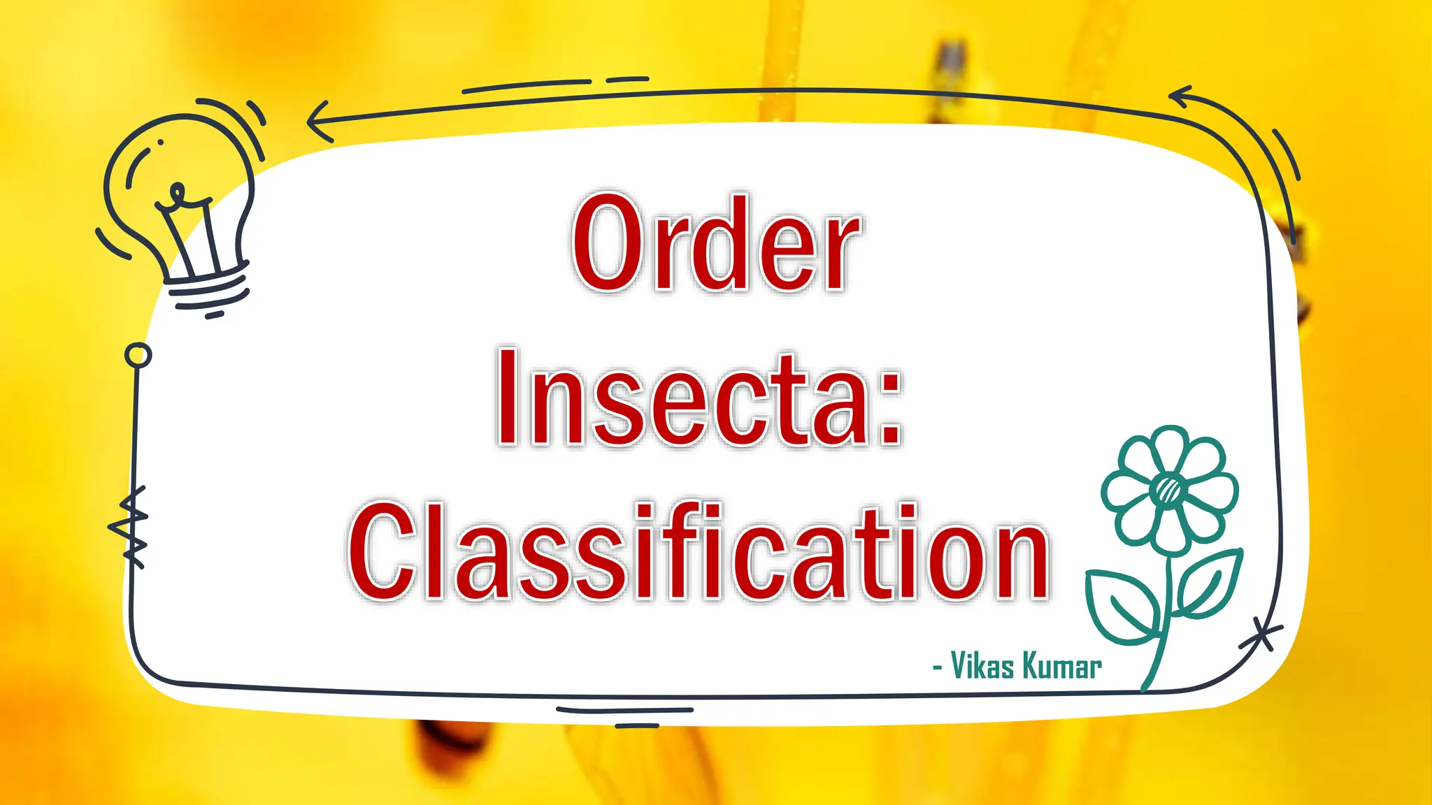 insectaclassification and orders of important insects | PPTX
