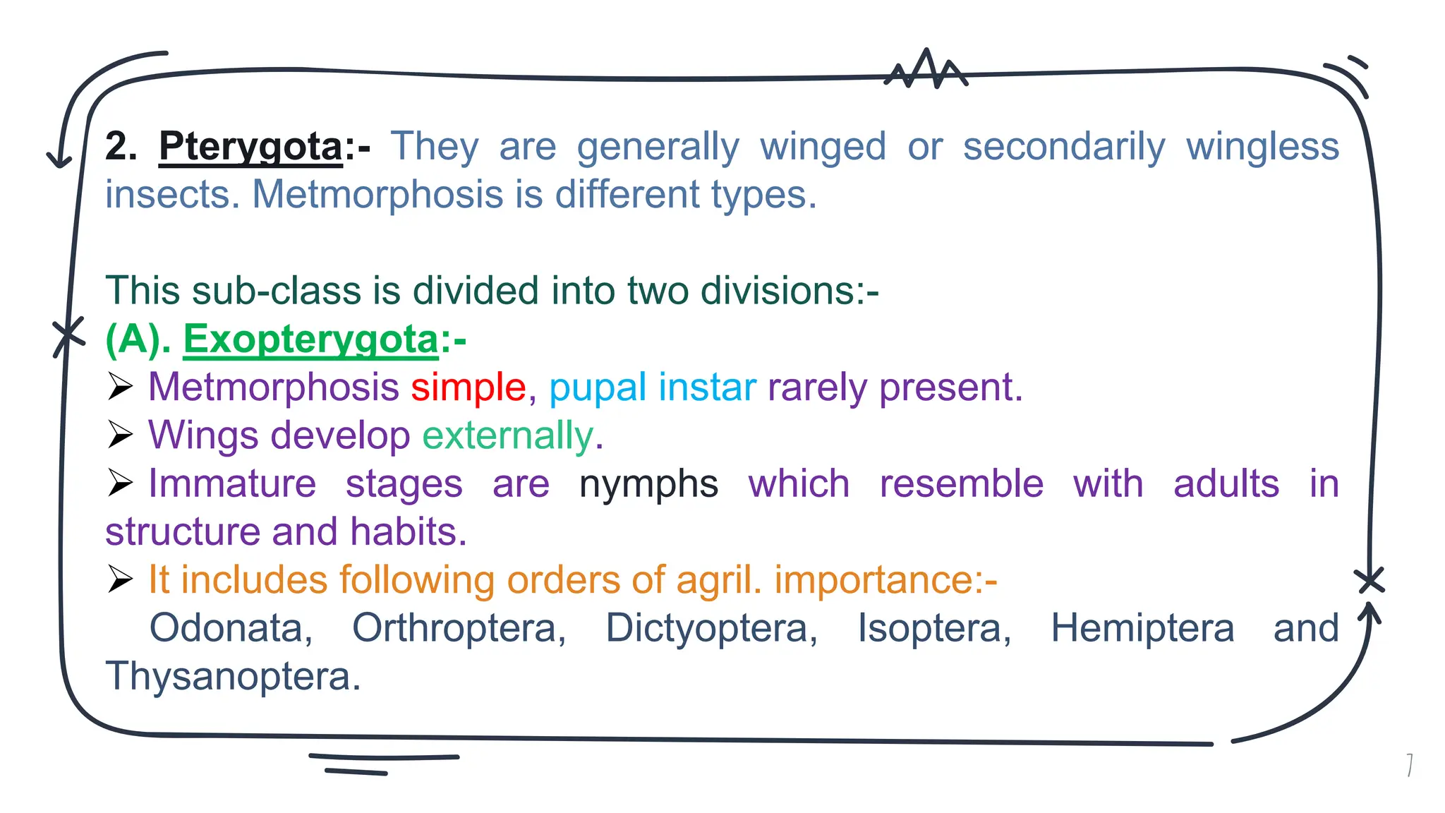 insectaclassification and orders of important insects | PPTX