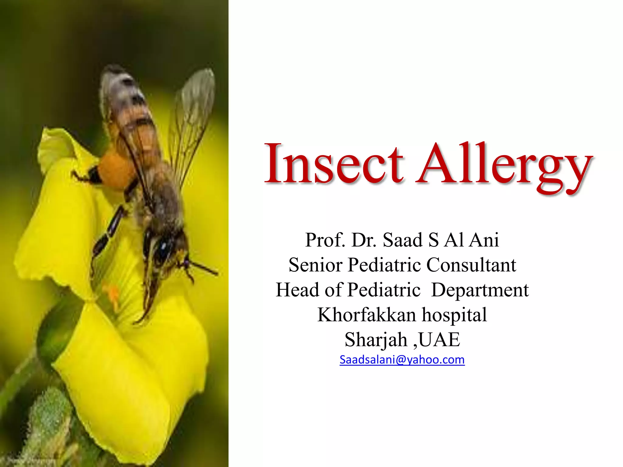 Insect allergy | PPT