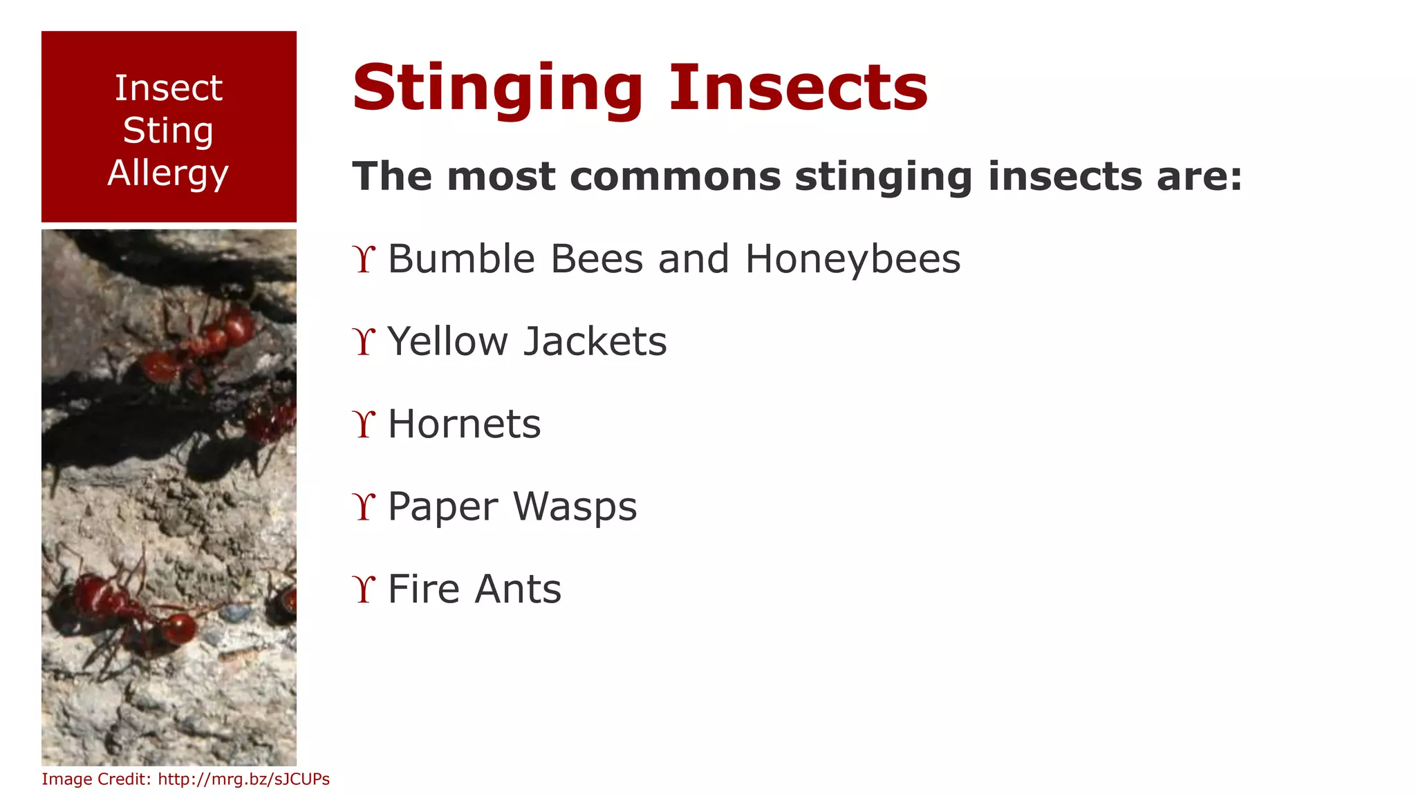 Insect Sting Allergy | PPT