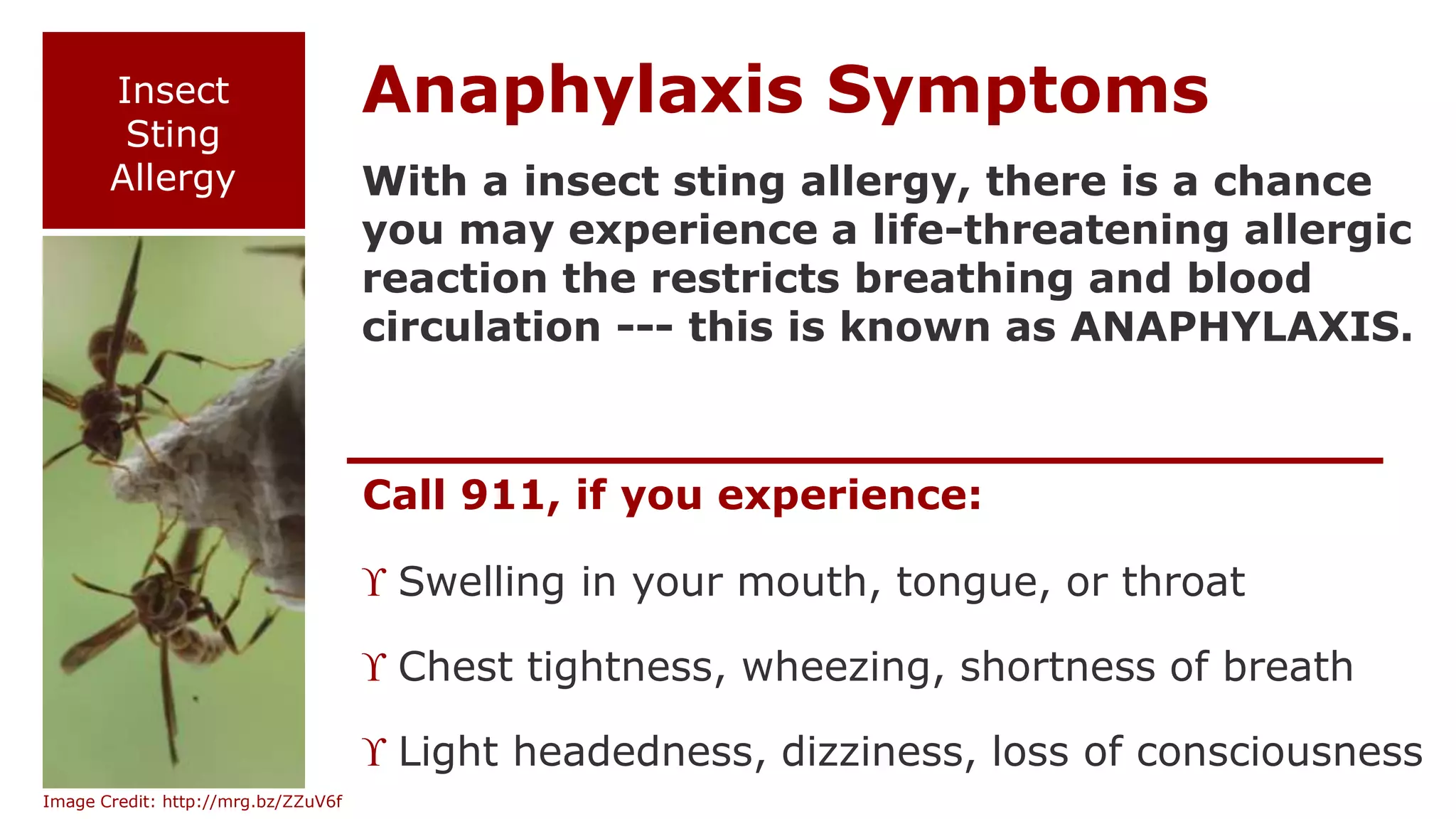 Insect Sting Allergy | PPT