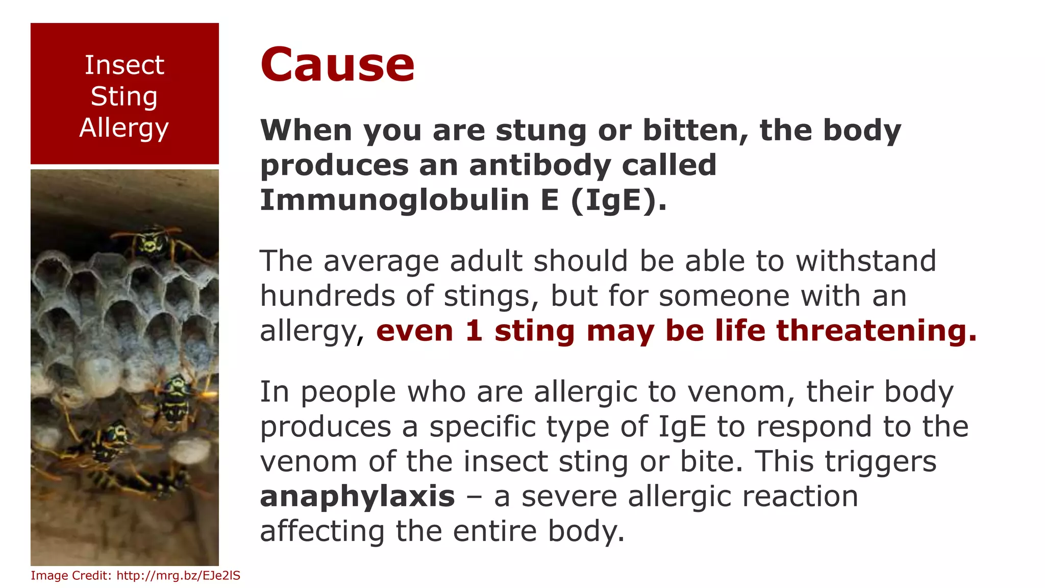 Insect Sting Allergy | PPT
