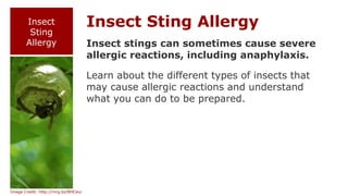 Insect Sting Allergy | PPT