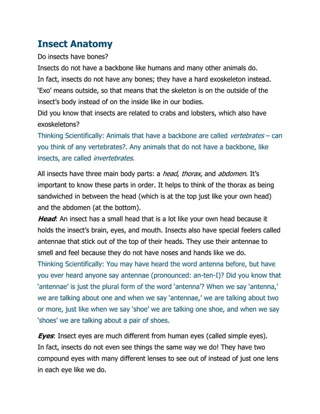 Insect Anatomy.docx | Biological Sciences | Science