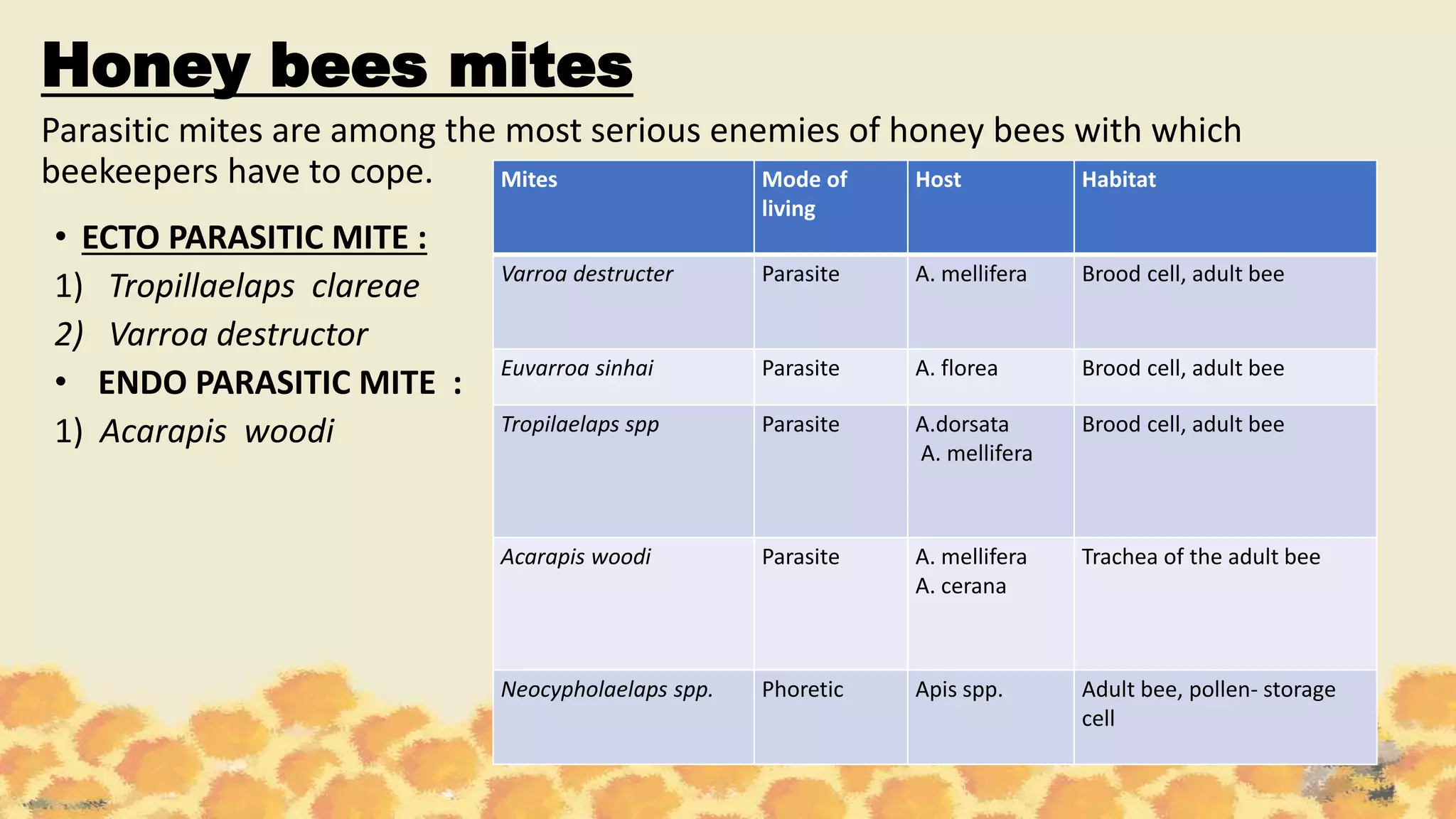insect and non insect pest and disease of honeybees.pptx