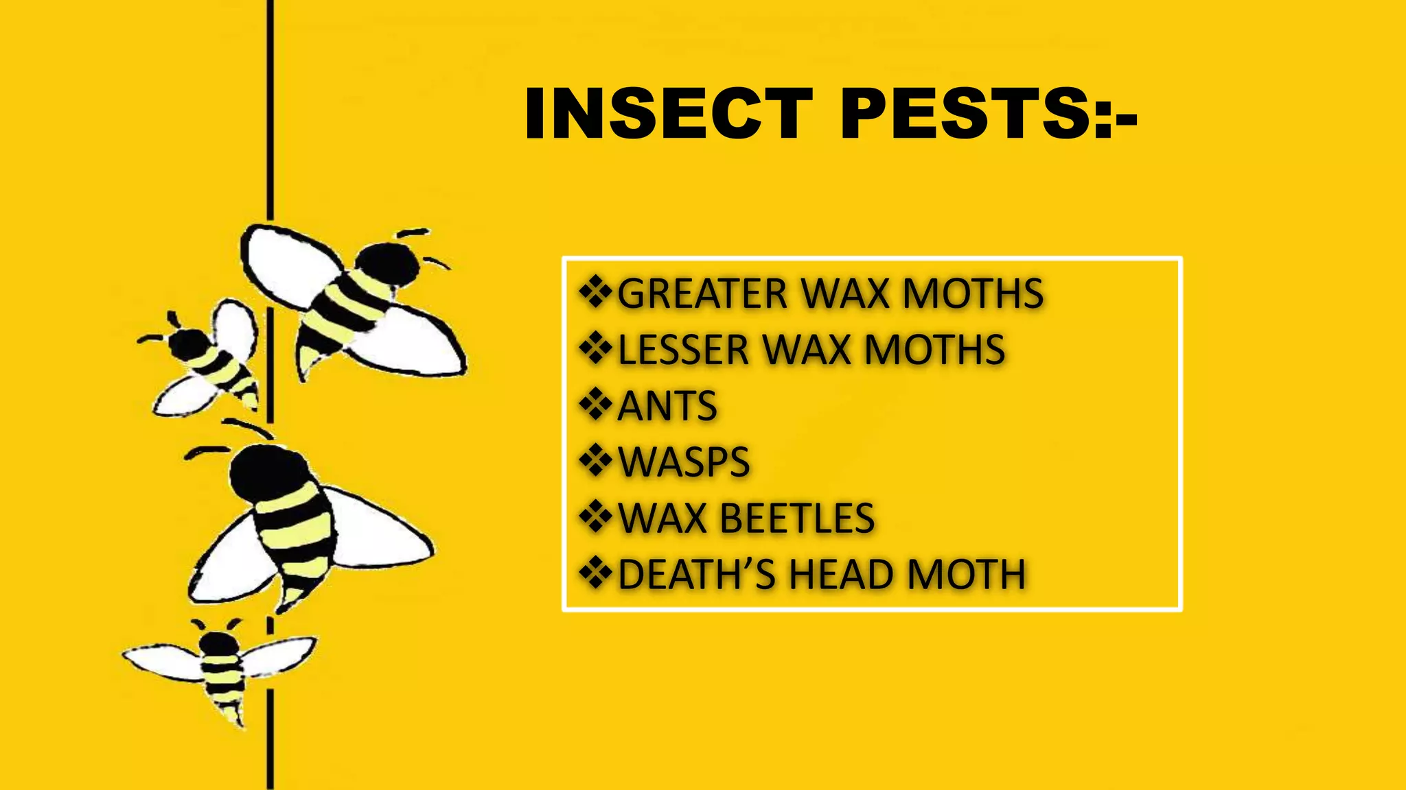 insect and non insect pest and disease of honeybees.pptx