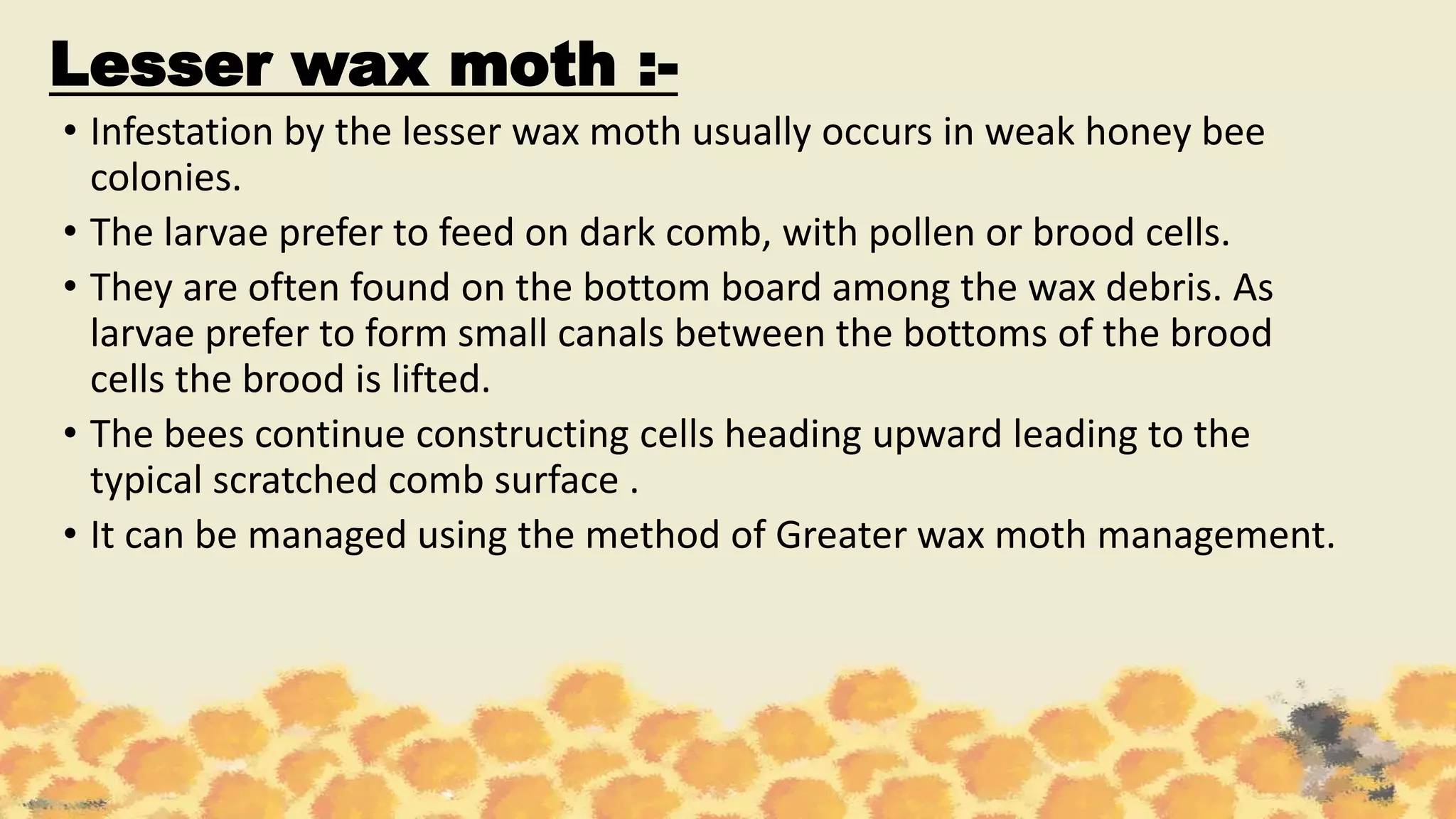 insect and non insect pest and disease of honeybees.pptx