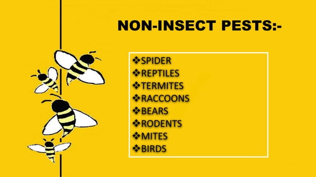 insect and non insect pest and disease of honeybees.pptx | Beekeeping ...