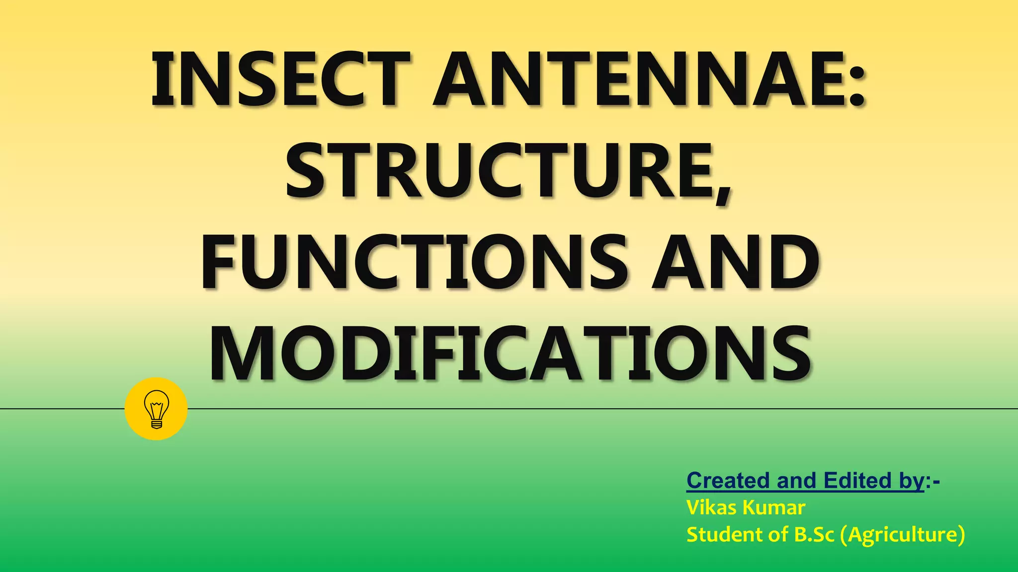 Insect Antennae: Structure, Functions and Their Modifications | PPTX