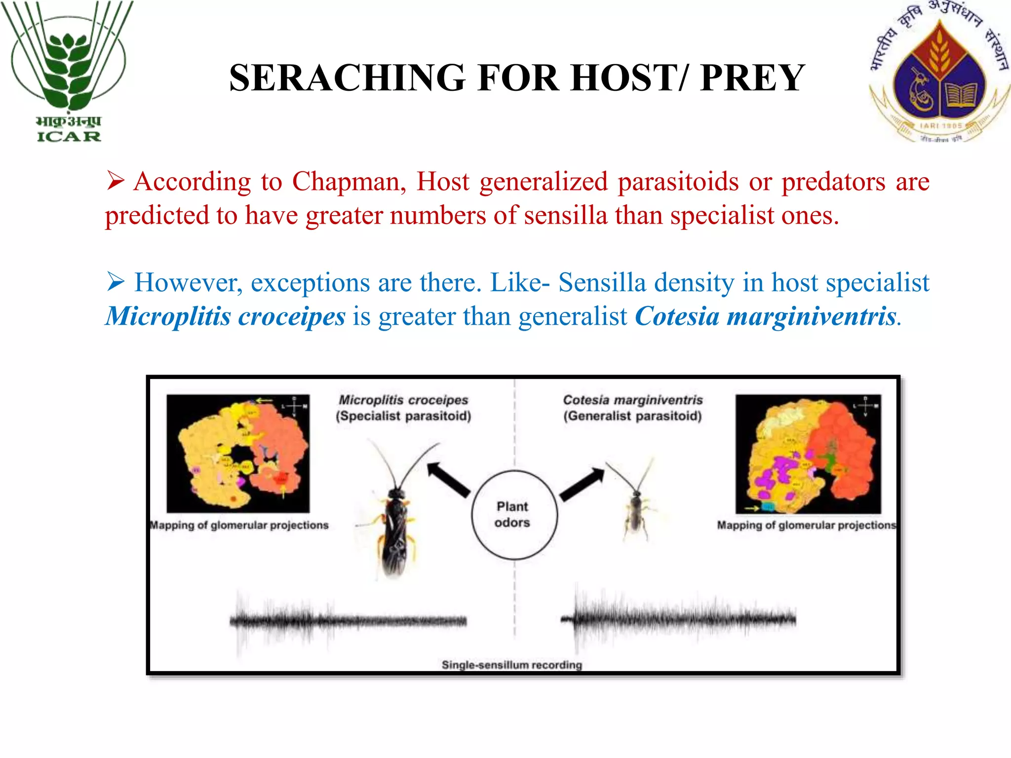 Insect Antennal Morphology-The Evolution of Diverse Solutions to ...