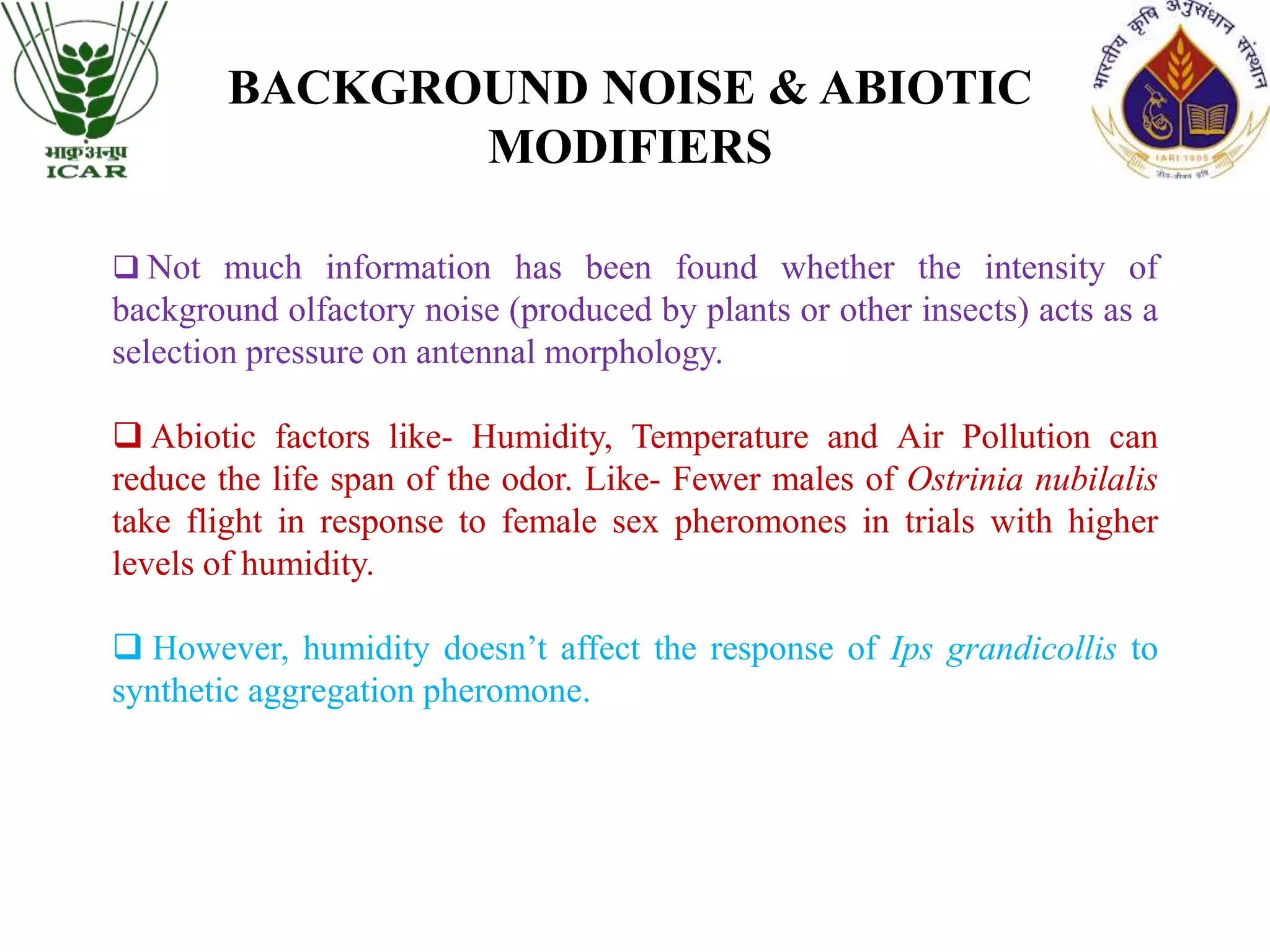 Insect Antennal Morphology-The Evolution of Diverse Solutions to ...