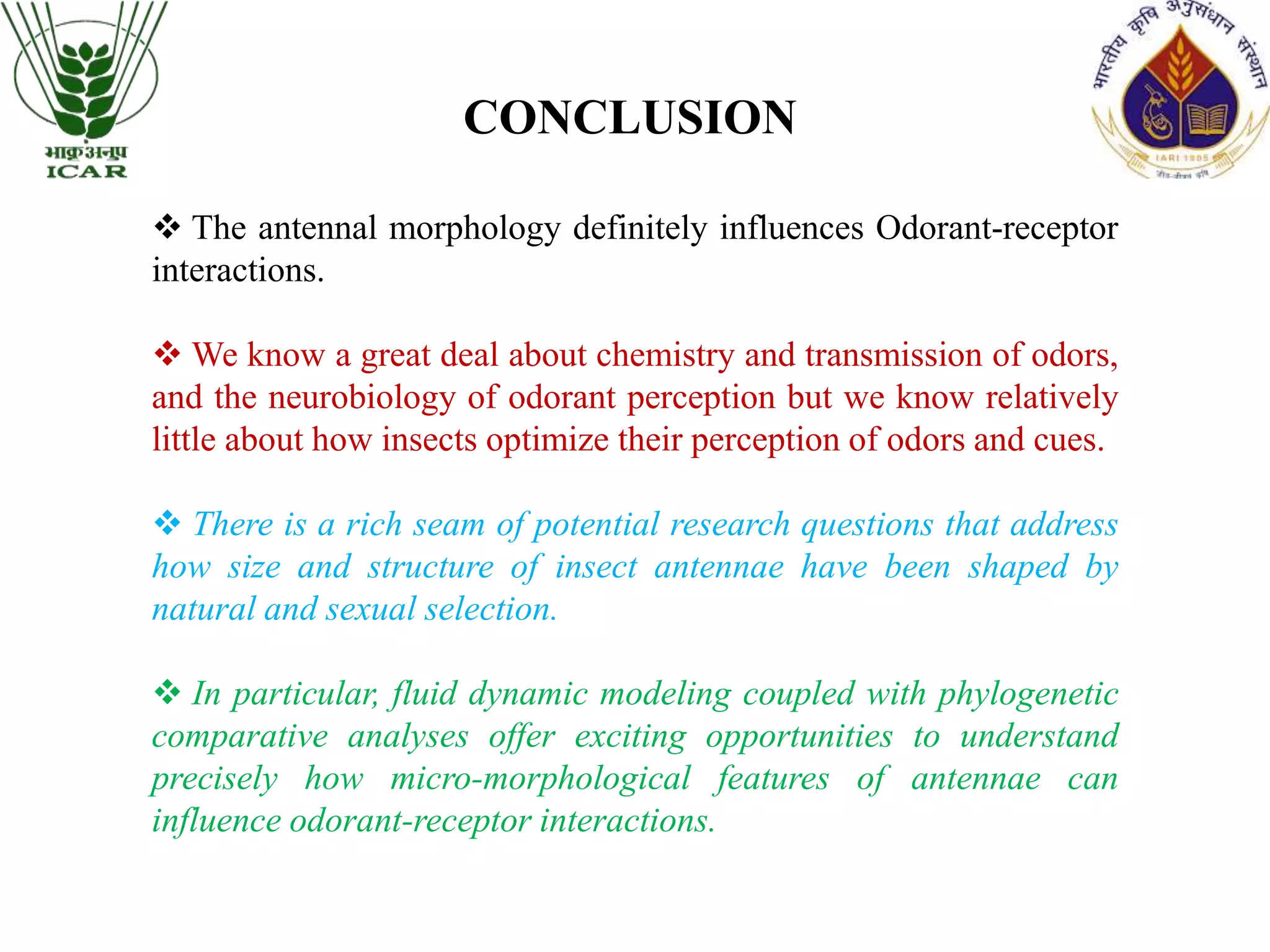 Insect Antennal Morphology-The Evolution of Diverse Solutions to ...