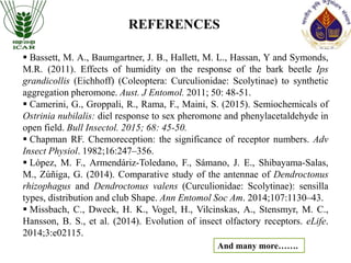 Insect Antennal Morphology-The Evolution of Diverse Solutions to ...