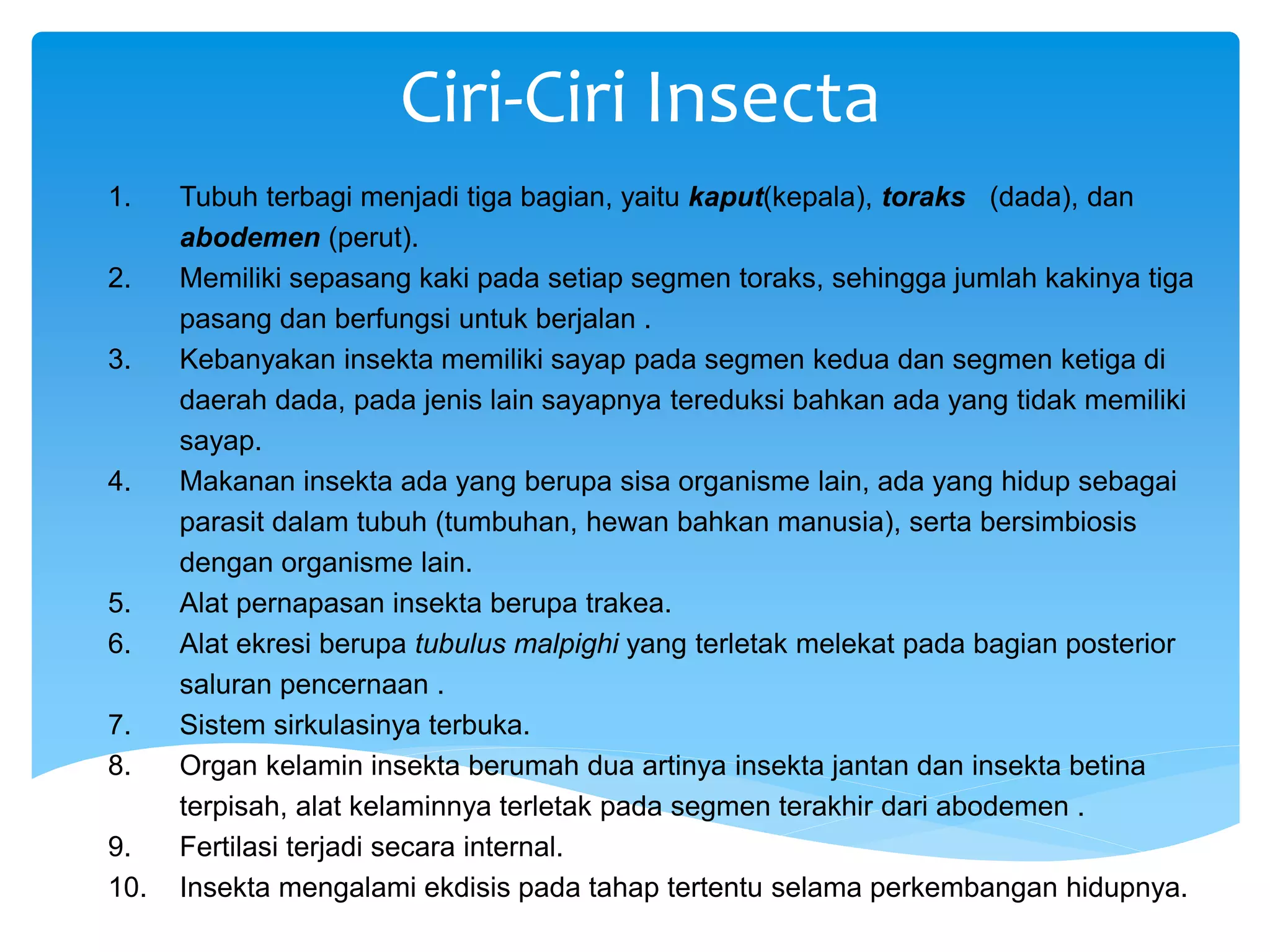 powerpoint insecta | PPTX
