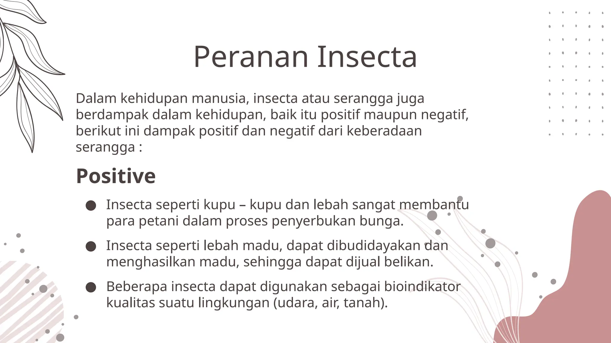 Biodiversitas Kehidupan Hewan Invertebrata insecta Pterygota | PPTX