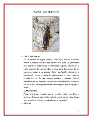 Insectario | DOCX