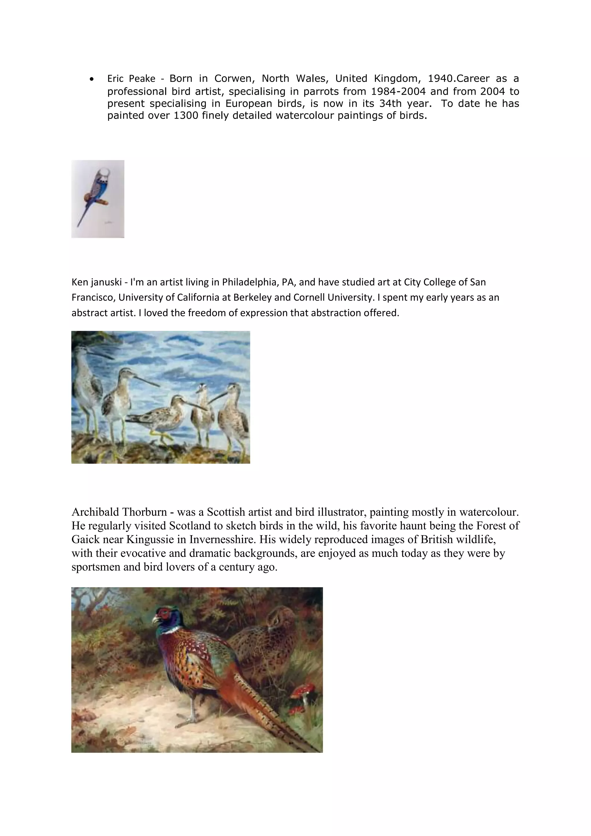 Insect artists | DOCX