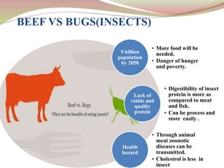 Insect as a protein | PPTX