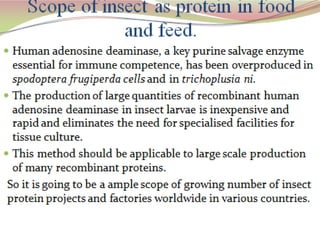 Insect as a protein | PPTX