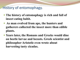 Insect as a protein | PPTX