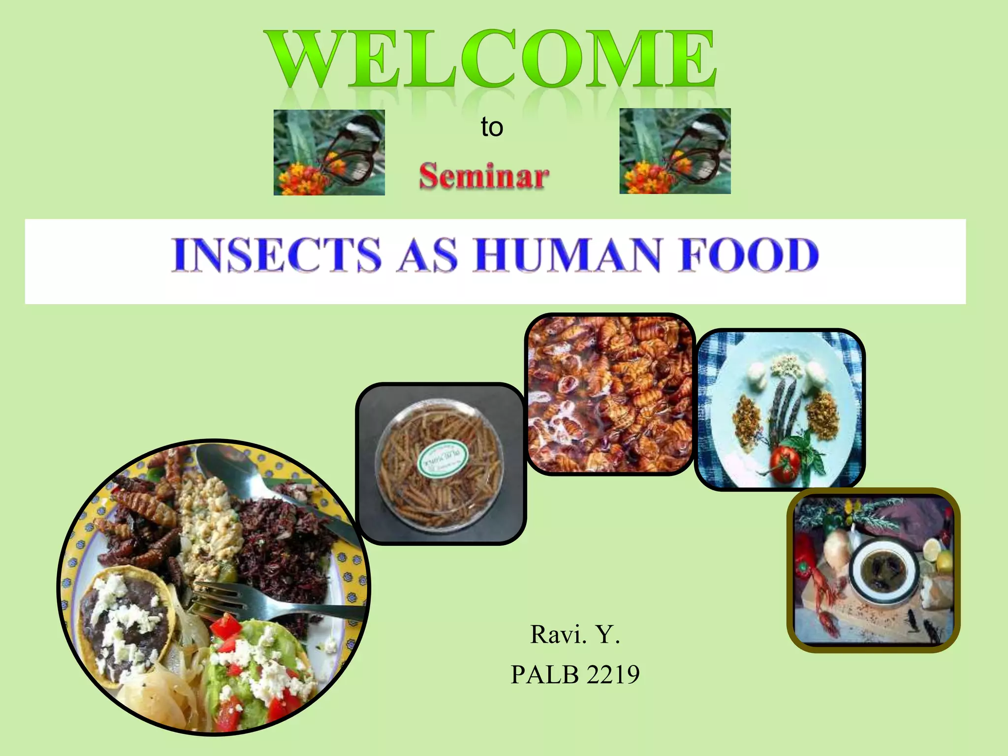 Insect as food | PPTX