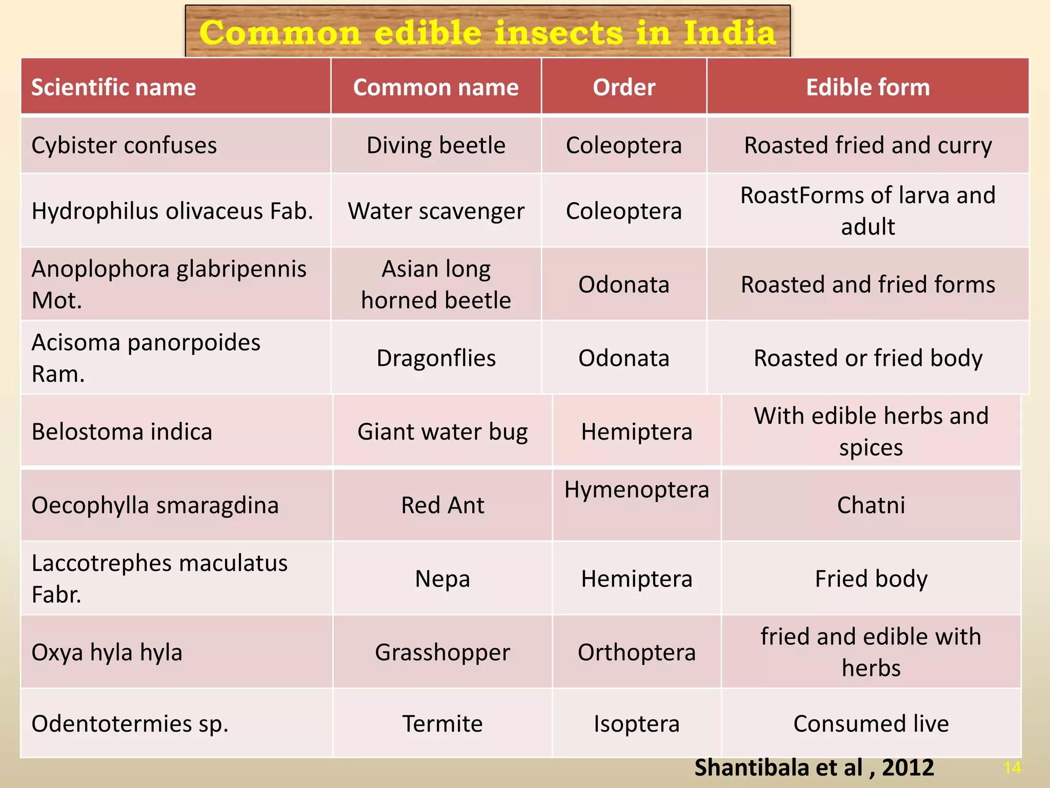 Insect as food | PPTX