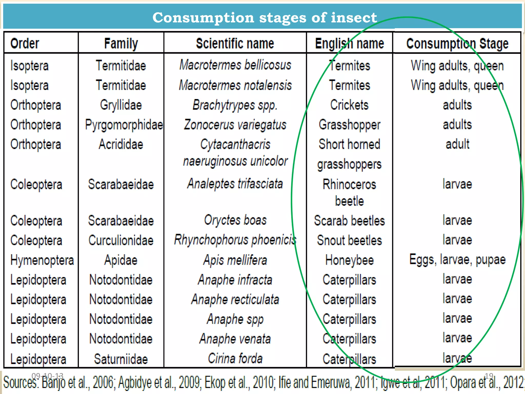 Insect as food | PPTX | Nutrition | Healthy Living