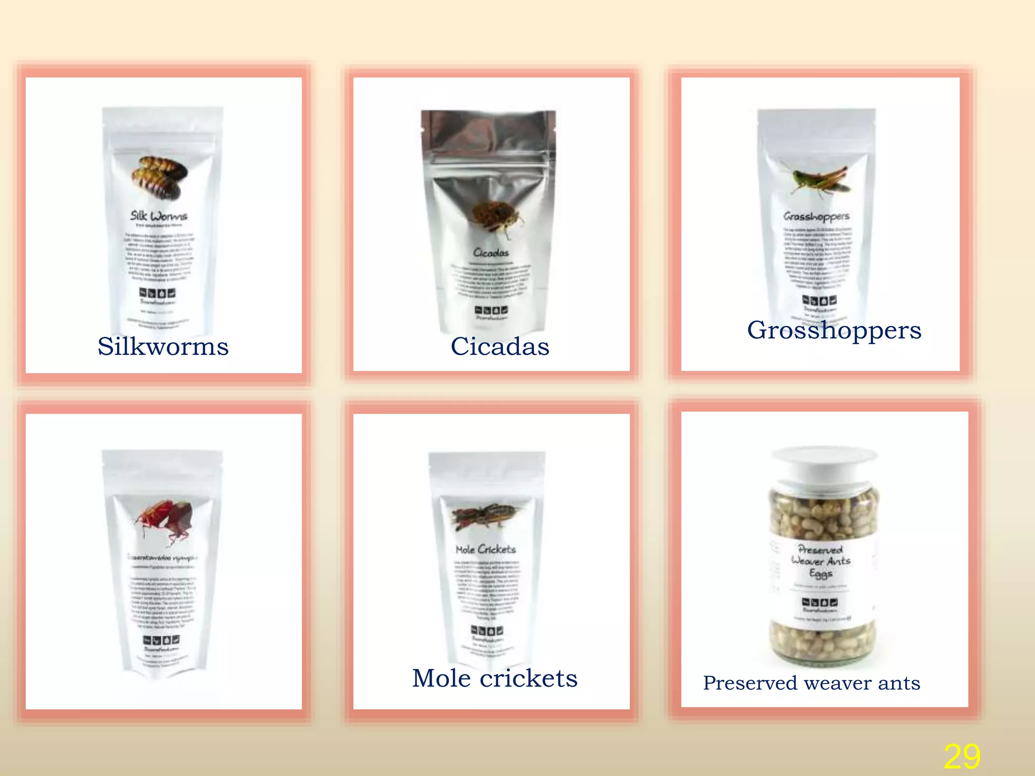 Insect as food | PPTX | Nutrition | Healthy Living