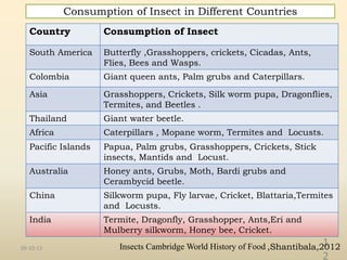 Insect as food | PPTX