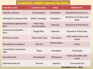 Insect as food | PPTX