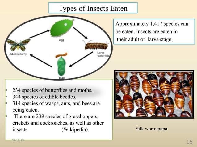 Insect as food | PPTX | Nutrition | Healthy Living