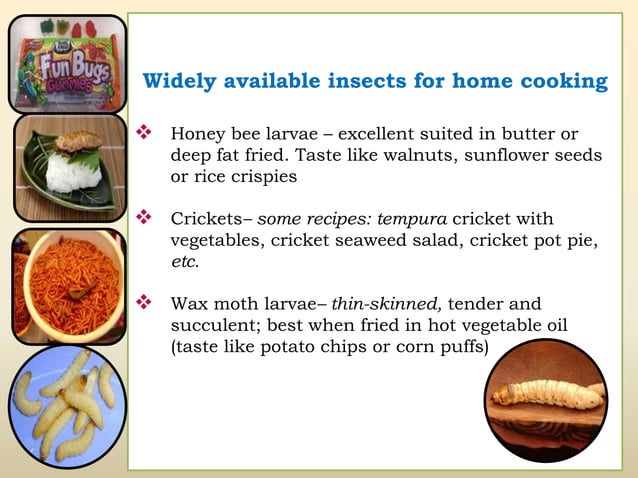 Insect as food | PPTX | Nutrition | Healthy Living
