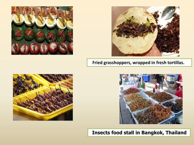 Insect as food | PPTX | Nutrition | Healthy Living