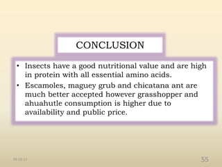 Insect as food | PPTX