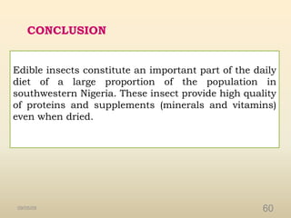 Insect as food | PPTX