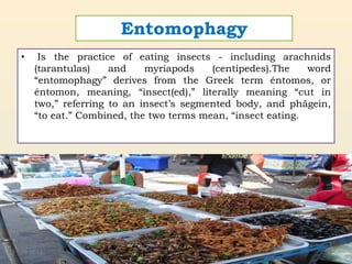 Insect as food | PPTX