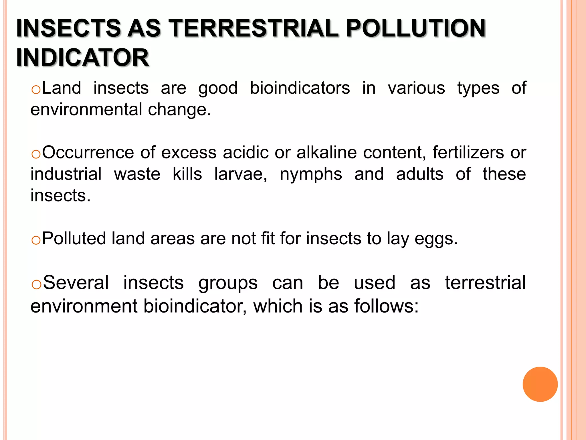 Insect as pollution indicator | PPTX