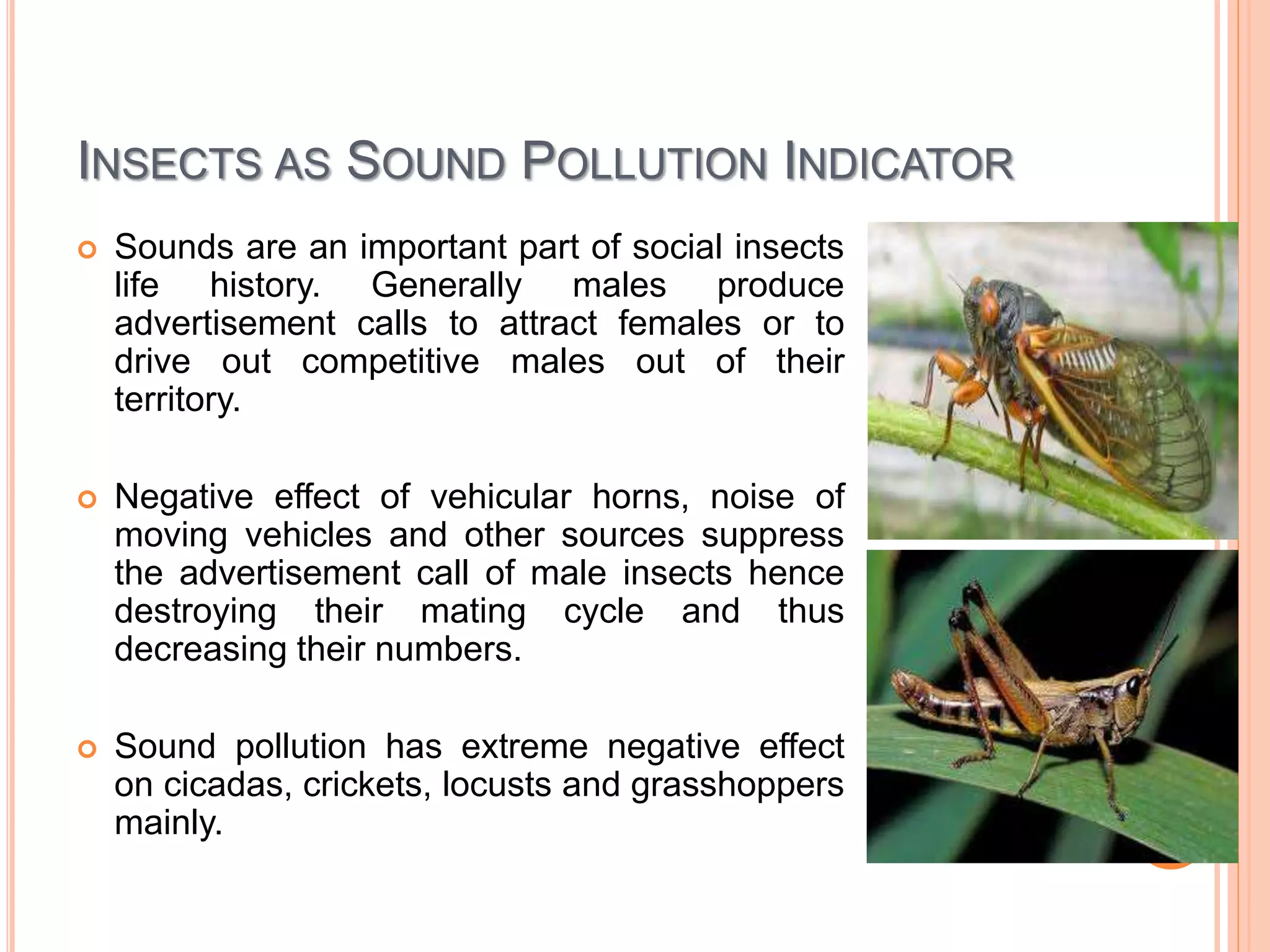 Insect as pollution indicator | PPTX
