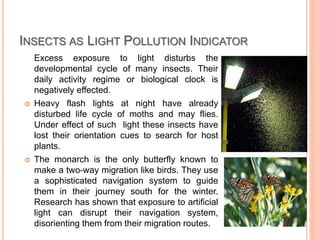 Insect as pollution indicator | PPTX