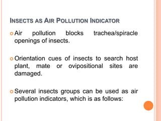 Insect as pollution indicator | PPTX