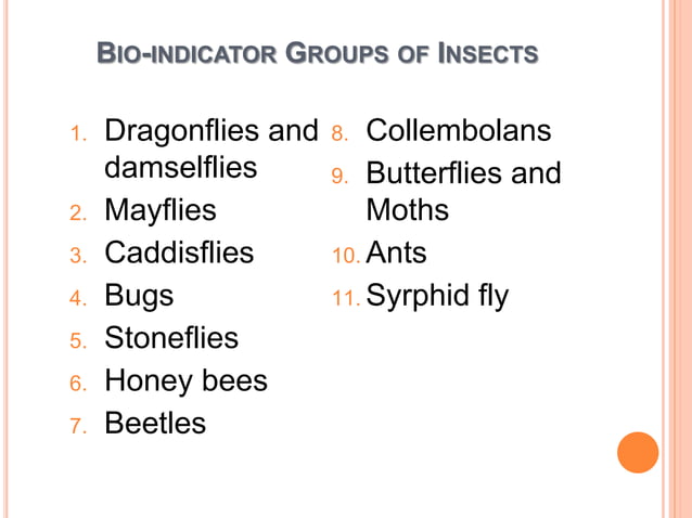Insect as pollution indicator | PPTX