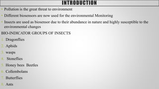 Insect as sensor of pollution | PPT