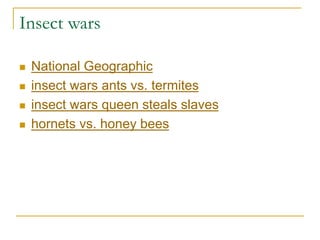 Insect Behavior.ppt