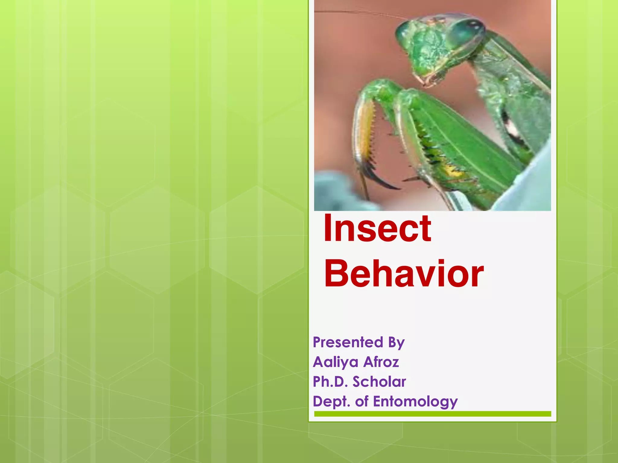 Insect behavior | PDF