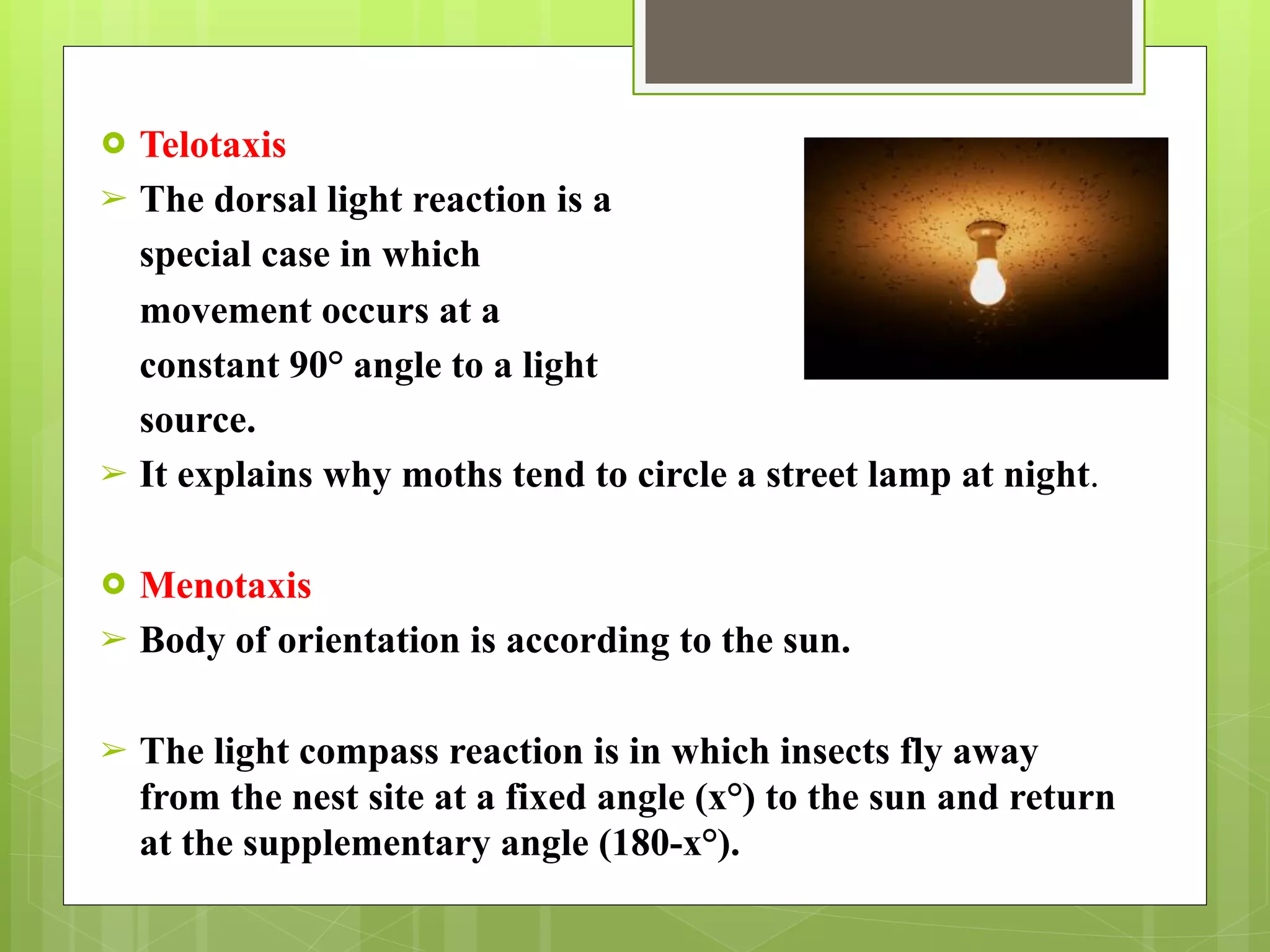 Insect behavior | PDF