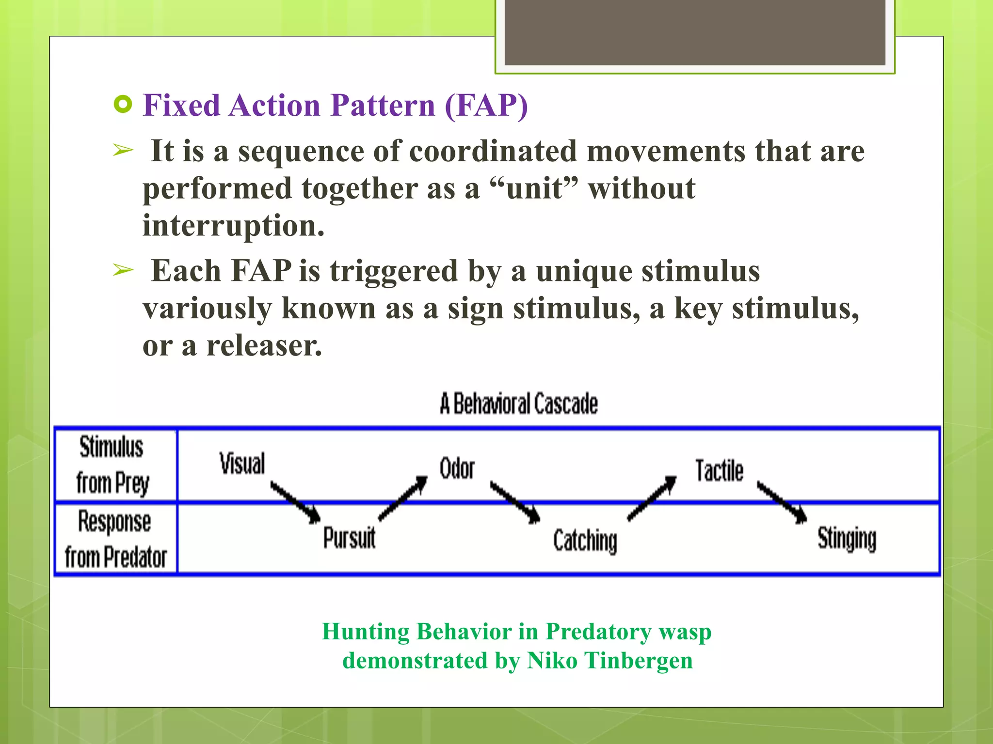Insect behavior | PDF