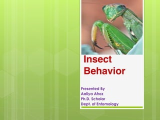 Insect behavior | PDF