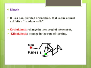 Insect behavior | PDF