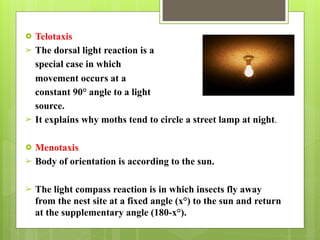 Insect behavior | PDF